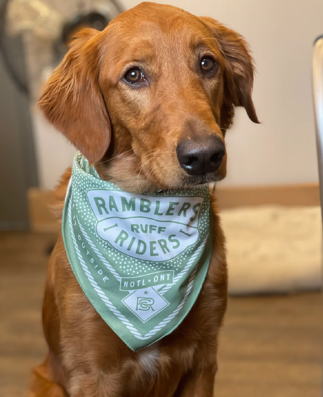 Ramblers Club – Palatine Hills Estate Winery